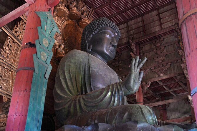 Nara Early Bird Tour (Kyoto Departure Option Available) - A Practical Guide to the Nara Early Bird Tour