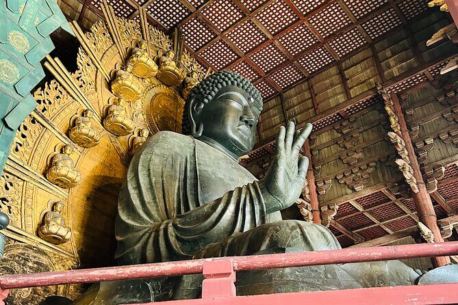 Nara Early Bird Tour (Kyoto Departure Option Available) - Final Thoughts