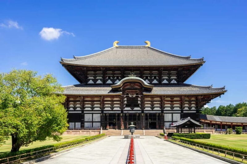 Nara: Enjoy the Highlights of Nara in 3 Hours - The Experience: A Closer Look