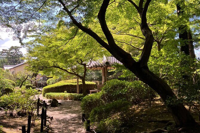 Nara: Essential Private Tour with Deer Park and Temples - Analyzing the Value