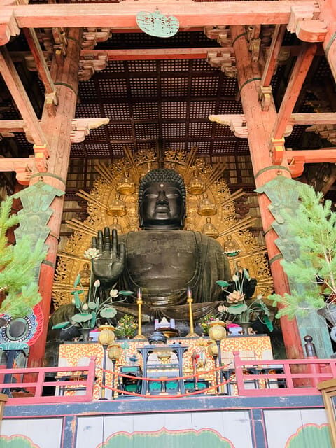 Nara: Essential Private Tour with Deer Park and Temples - The Experience: What Makes It Special