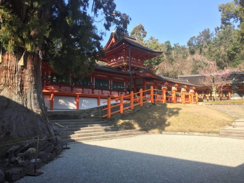 Nara: Full-Day Private Guided Tour - FAQs
