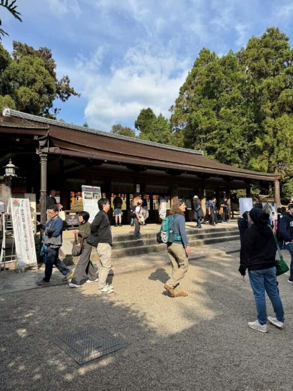 Nara Gardens and Temples Private Guided Tour with Transport - The Practicalities: What You Need to Know