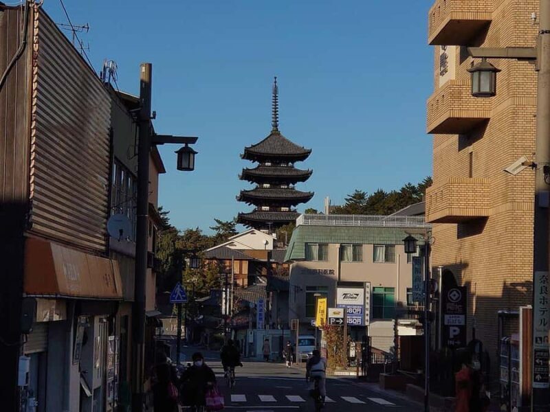 Nara Gardens and Temples Private Guided Tour with Transport - Who Will Love This Tour?