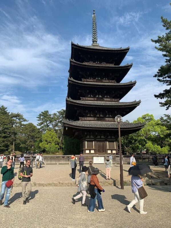 Nara Gardens and Temples Private Guided Tour with Transport - FAQ