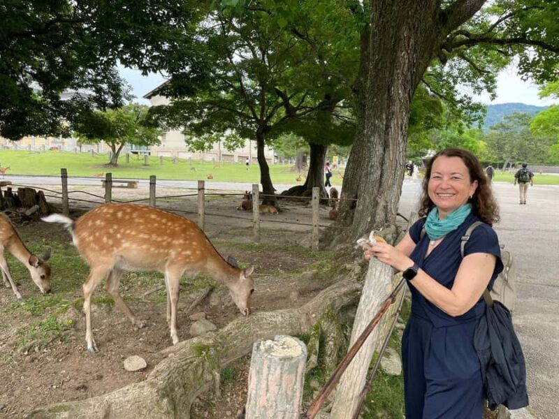 Nara: Half Day Local Guide Big Buddha, Deer, Shrine, Forest - Why This Tour Works Well