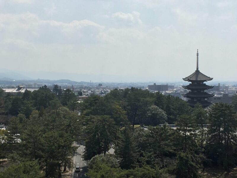 Nara: Half-Day Private Guided Tour - An In-Depth Look at the Nara Half-Day Tour