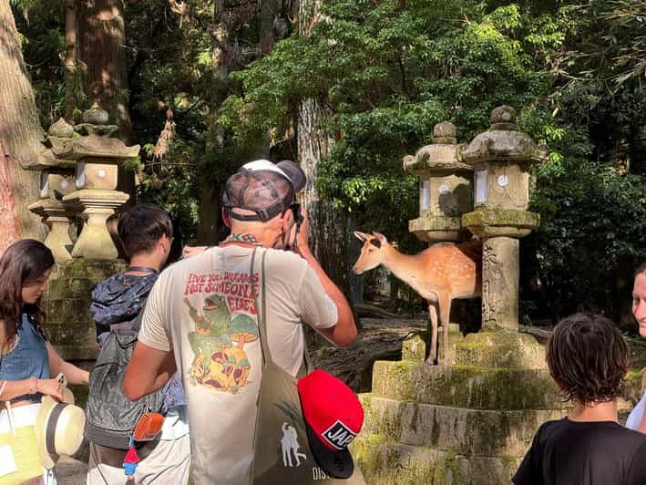 Nara: Half-Day Private Tour of 4 Must-See Spots & Deer Park - The Practical Side