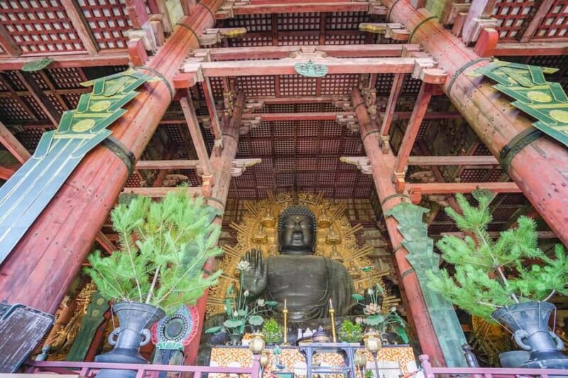 Nara: Half-Day UNESCO Heritage & Local Culture Walking Tour - Introduction