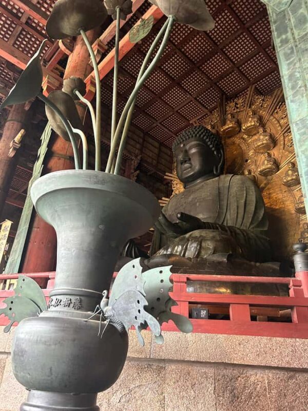 Nara: Half-Day Walking Tour | Spanish Private - The Value for Your Money