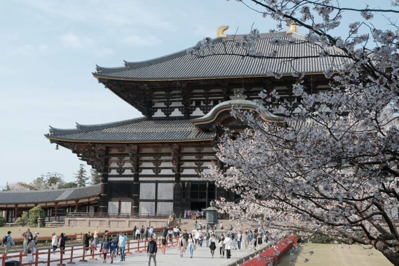 Nara Heritage Walkabout from Nara Park to Todaji-ji temple - Why This Tour Works for Travelers