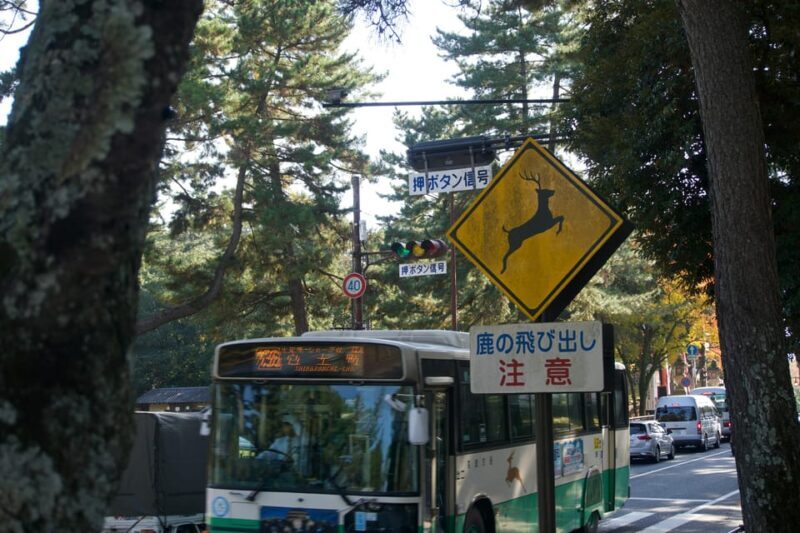 Nara Heritage Walkabout from Nara Park to Todaji-ji temple - Practical Details and Tips for Making the Most of the Tour