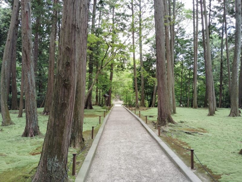 Nara: Hidden World Heritage  Yakushi-ji & Toshodai-ji (3H) - An Intimate Tour of Nara’s Hidden Treasures