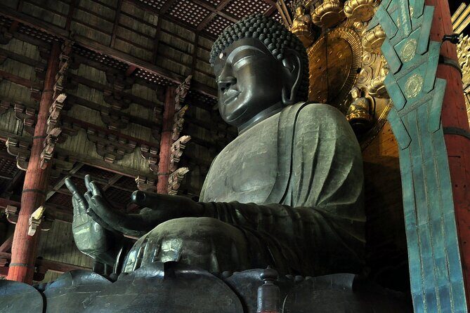 Nara Highlight Private Walking Tour with Licensed Guide - An In-Depth Look at the Nara Highlight Private Walking Tour