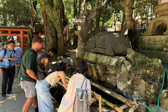 Nara Highlight Walking Tour with Furoshiki Experience with Lunch - FAQ