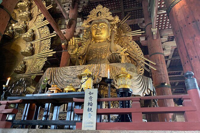 Nara Highlights Guided Tour by Private Car from Osaka - Who Will Love This Tour?