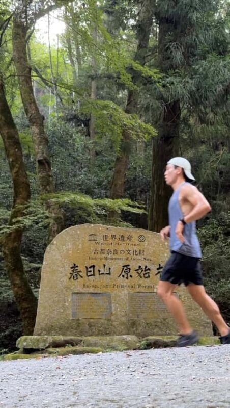 Nara: Jog Through 3 UNESCO World Heritage Sites with Deers - What Travelers Say