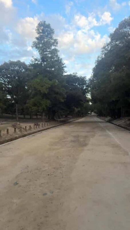 Nara: Jog Through 3 UNESCO World Heritage Sites with Deers - FAQ