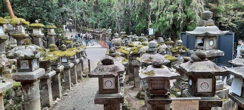 Nara: Kasuga Taisha Shrine Candlelight Tour with Drink - Key Points