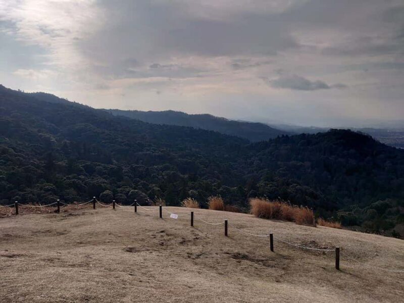 Nara: Mt. Wakakusa Family Picnic Trail with Guide - Key Points