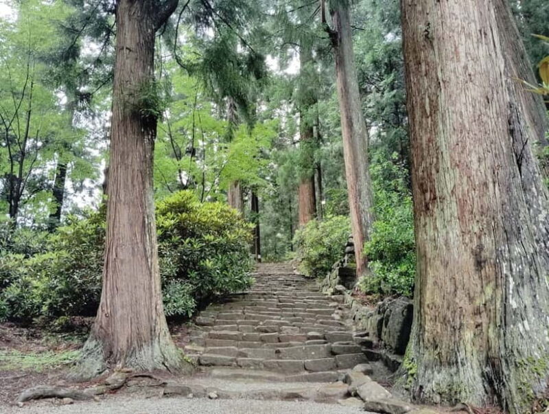Nara: Muro-ji Temple  Serenity, Tradition and Sacred Beauty - Practical Details and Value