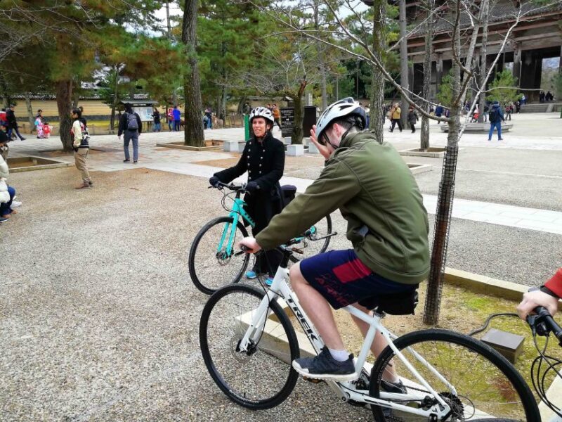 Nara: Nara Park Private Family Bike Tour with Lunch - A Detailed Look at the Tour Experience