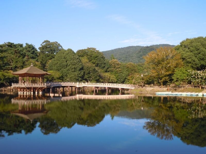 Nara Park and Todai-ji Private Spanish Tour - Who Will Love This Tour?