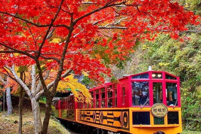 Nara Park, Golden Pavilion Bamboo Forest Day Trip From Osaka - Key Points