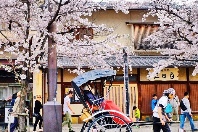 Nara Park, Golden Pavilion Bamboo Forest Day Trip From Osaka - Detailed Breakdown of the Itinerary