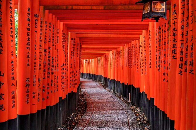 Nara Park, Golden Pavilion Bamboo Forest Day Trip From Osaka - Authentic Experiences and Tips