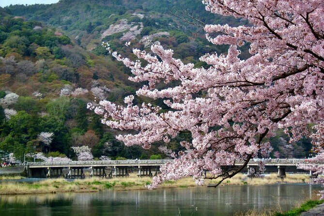 Nara Park, Golden Pavilion Bamboo Forest Day Trip From Osaka - FAQ