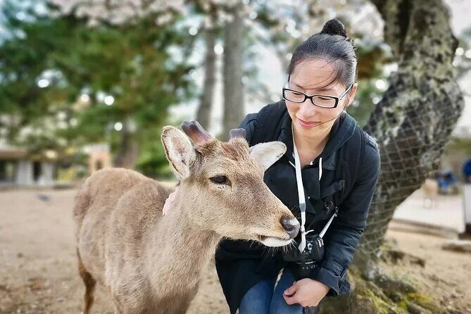 Nara Private Car City Tour - Discovering Nara’s Treasured Heritage