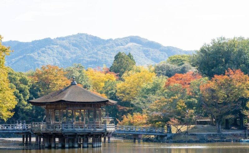 Nara: Private City Tour With A Local Guide - Key Points