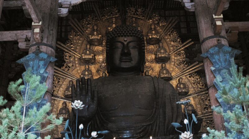 Nara Private Custom Tour with Local Guide - Who Will Appreciate This Tour Most?