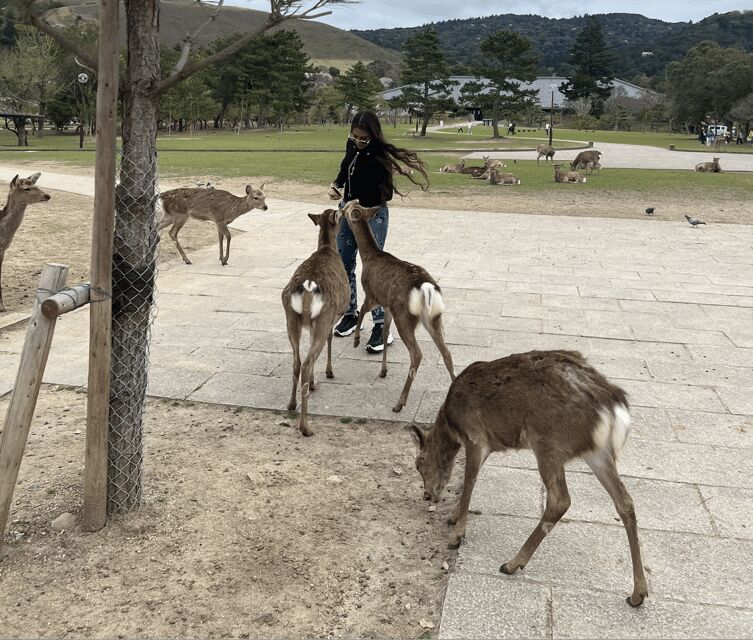 Nara Private Custom Tour with Local Guide - FAQ