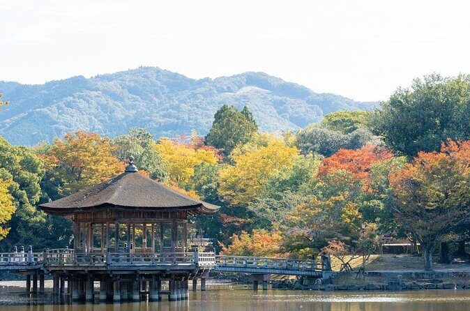 Nara : Private Day Walking Tour (From Osaka/Kyoto Possible) - The Sum Up: Is It Worth It?