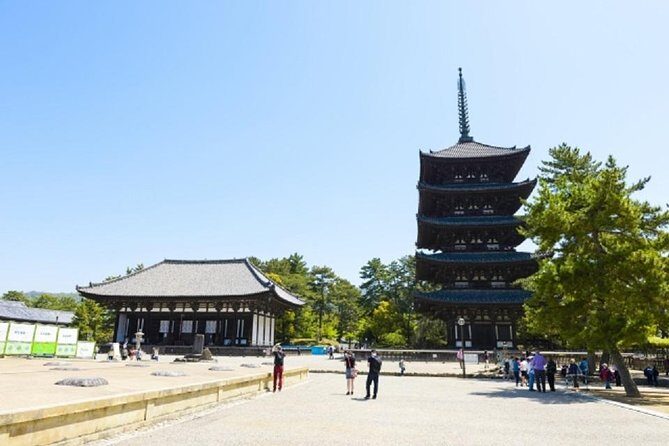 Nara Private Tour by Public Transportation from Osaka - What Does the Tour Include and What’s Extra?