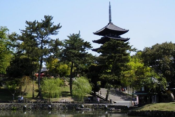 Nara Private Tour by Public Transportation from Osaka - Who Will Appreciate This Tour?