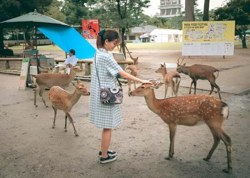 Nara: Private Tour with Car Deer Park & Todai-ji Temple - Key Points