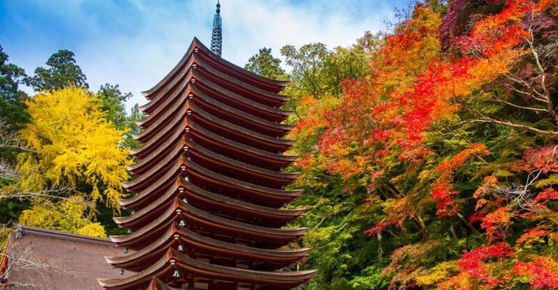 Nara: Private Tour with Private Guide - The Sum Up