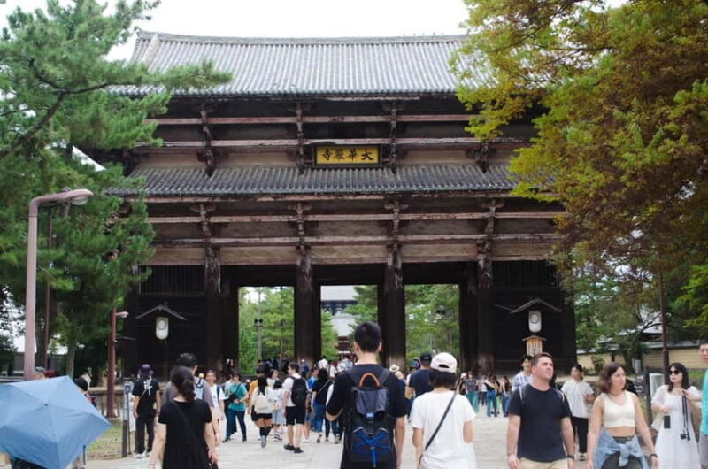 Nara: Private Walking Tour from Osaka - The Itinerary That Makes This Tour Special