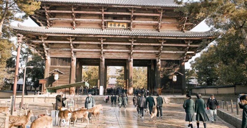 Nara: Private Walking Tour with a Local - What to Expect from Your Private Nara Tour