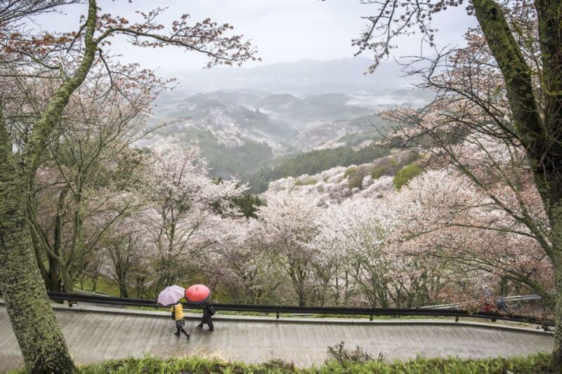 Nara: Private Walking Tour with a Local - Authenticity and Personal Connection