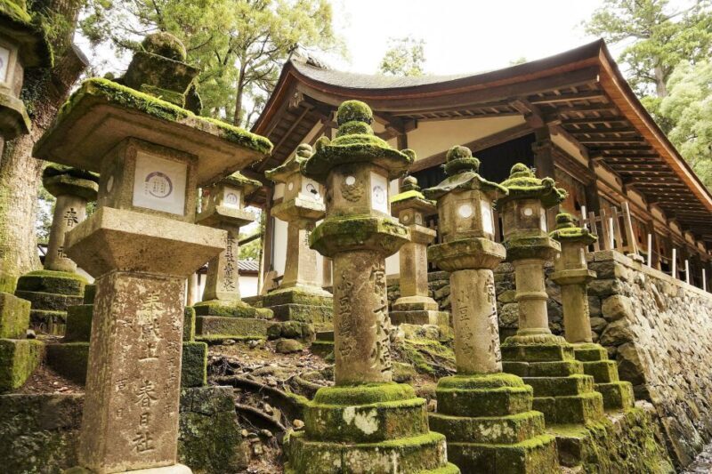 Nara: Private Walking Tour with a Local - Final Thoughts