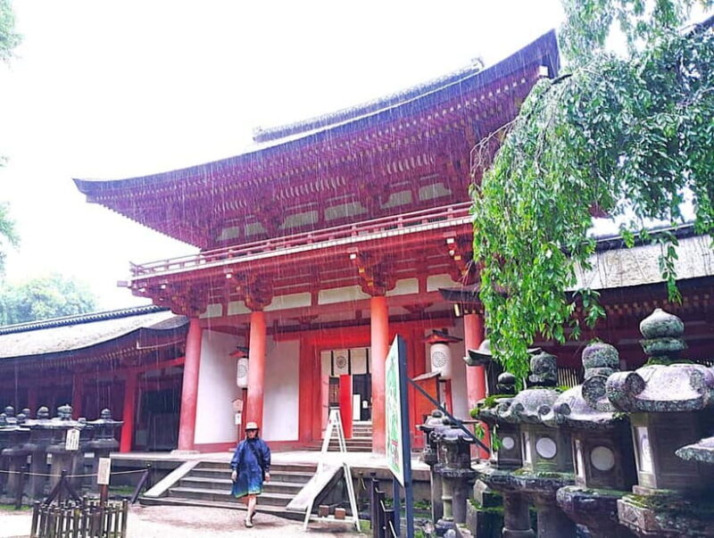 Nara: Sacred Morning Walk with Deer in the Mist - Is it Worth the Price?