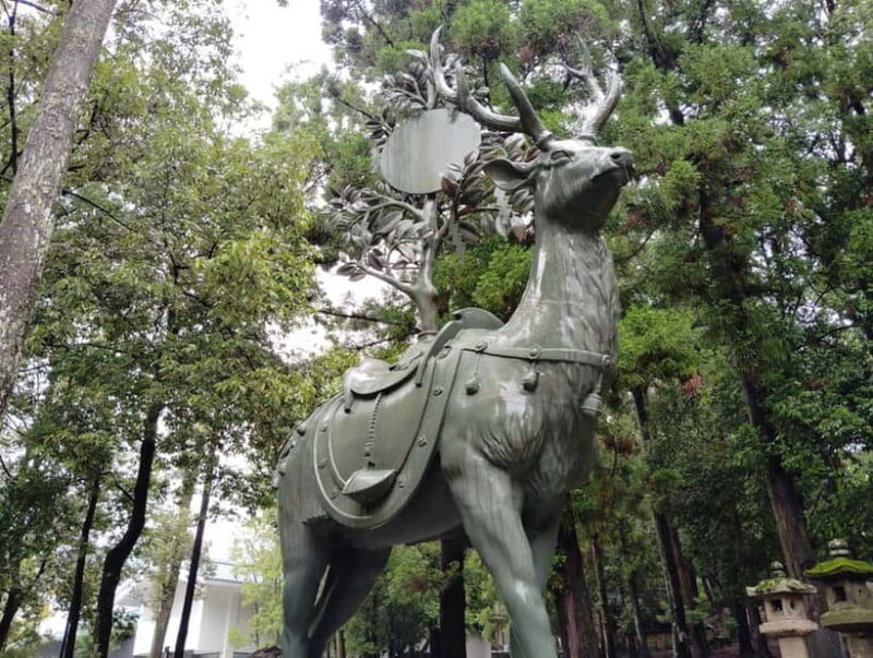 Nara: Sacred Morning Walk with Deer in the Mist - In-Depth Experience Breakdown
