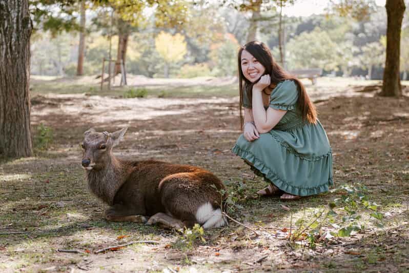 Nara Serenity: Memories Among Deer and Temples - The Itinerary in Detail: An Overview