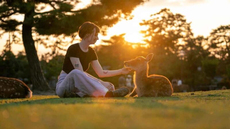 Nara: Temple-Shrine Walking Tour+Zen Calligraphy Experience - A Practical Guide to the Nara Temple-Shrine Walking Tour