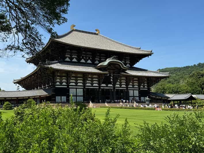Nara: Todai-jis Great Buddha & All Its Treasures in 2 Hours - Practical Details and Experience Insights