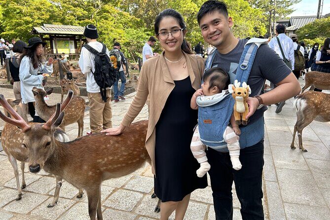 Nara Tour by Car from Kyoto Osaka Kobe - The Practical Aspects
